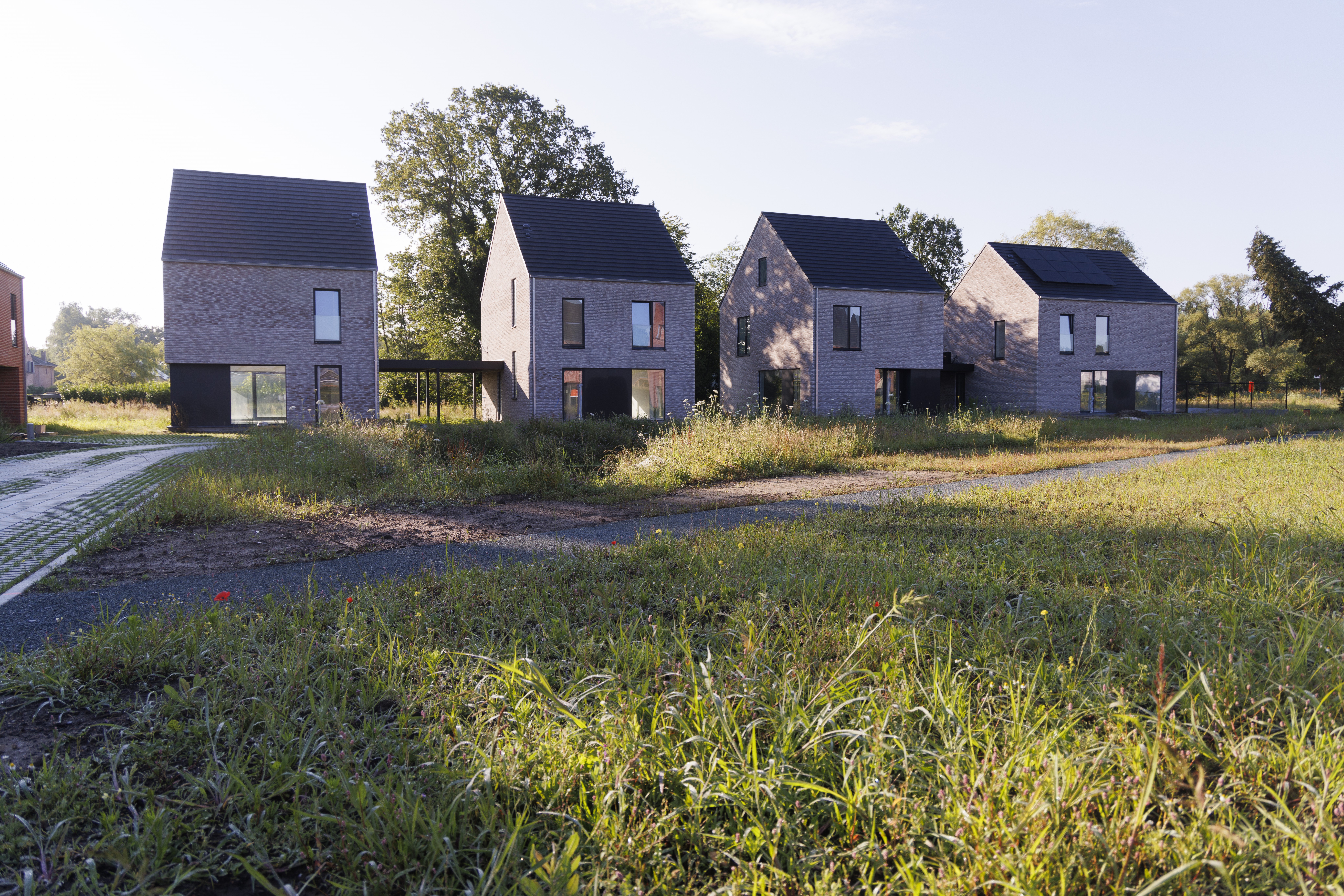 Nieuwbouwprojecten in Haacht